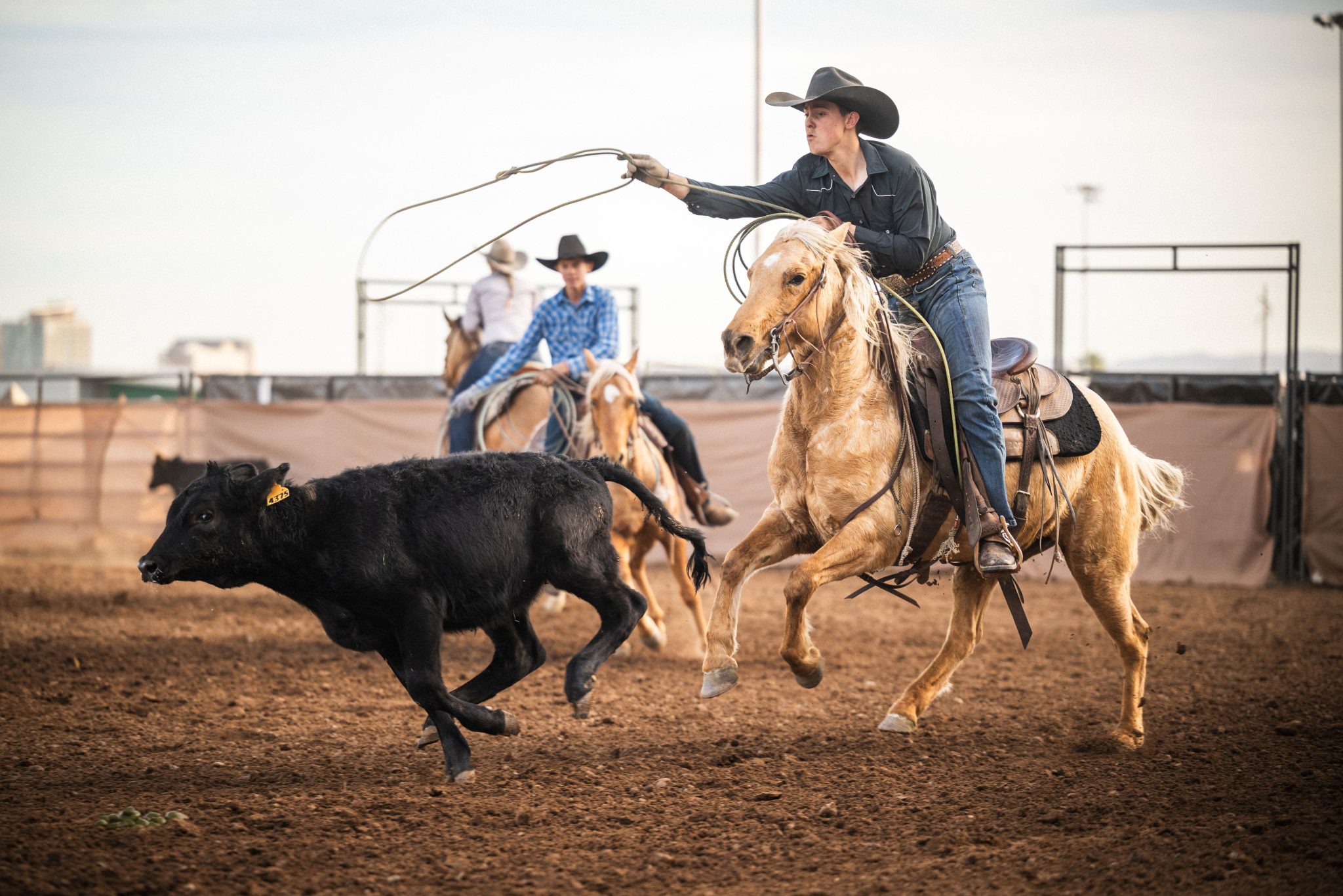 Ranch Rodeo - Arizona National Livestock Show